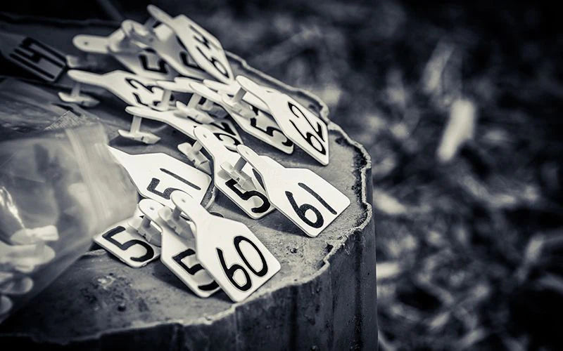 Livestock Tagging Tips & Tricks – QC Supply