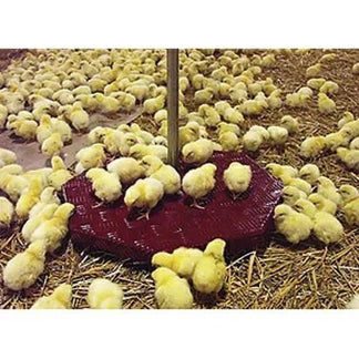Farm Weigh BAT2 Full Automatic Poultry Scale – QC Supply