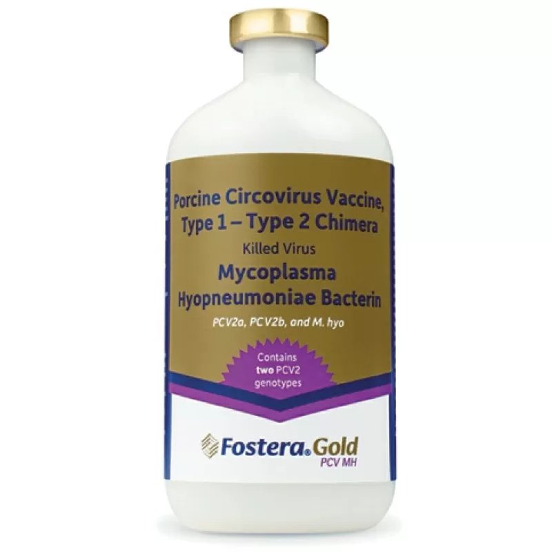 Fostera® Gold PCV MH - Zoetis – QC Supply